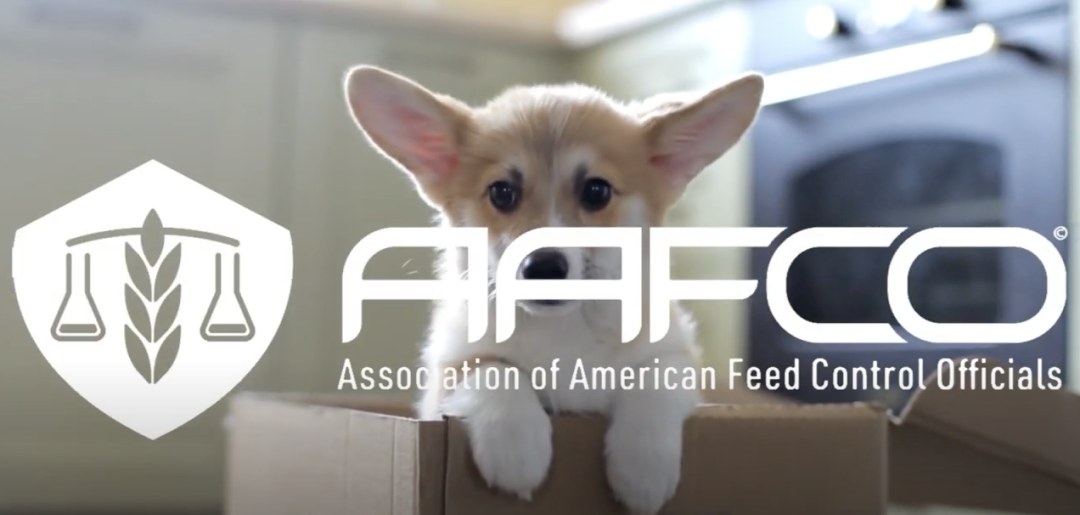 40多年来首次重大更新，美国AAFCO批准通过新版《宠物食品和特种宠物食品示范法规》_派读大数据
